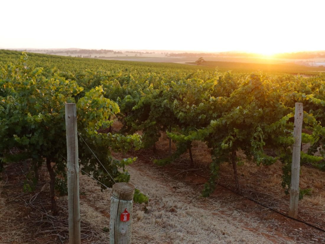 Projects – AG Excellence