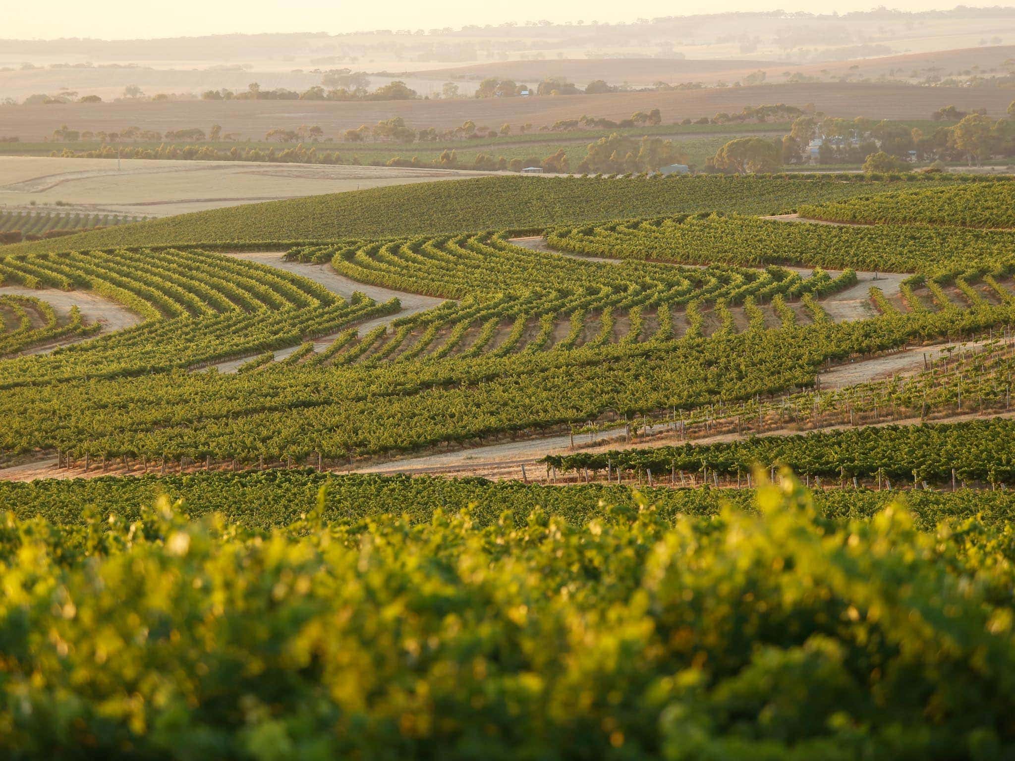 News – AG Excellence