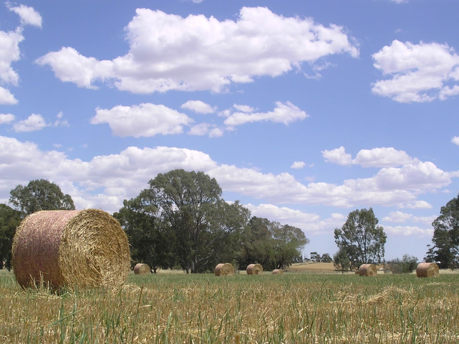 2022 Student Compendium a big hit and fantastic experience - AG Excellence