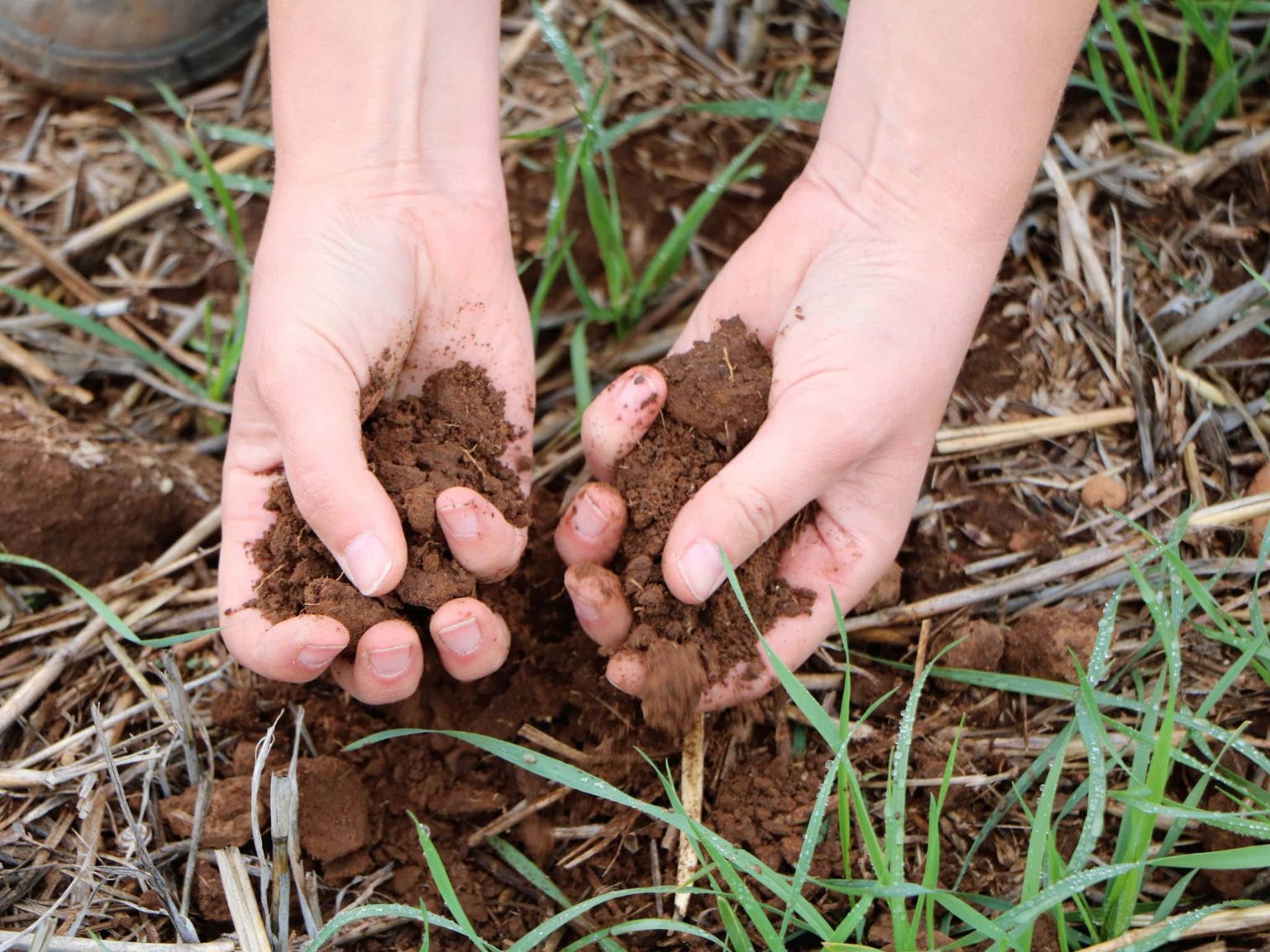 News – AG Excellence