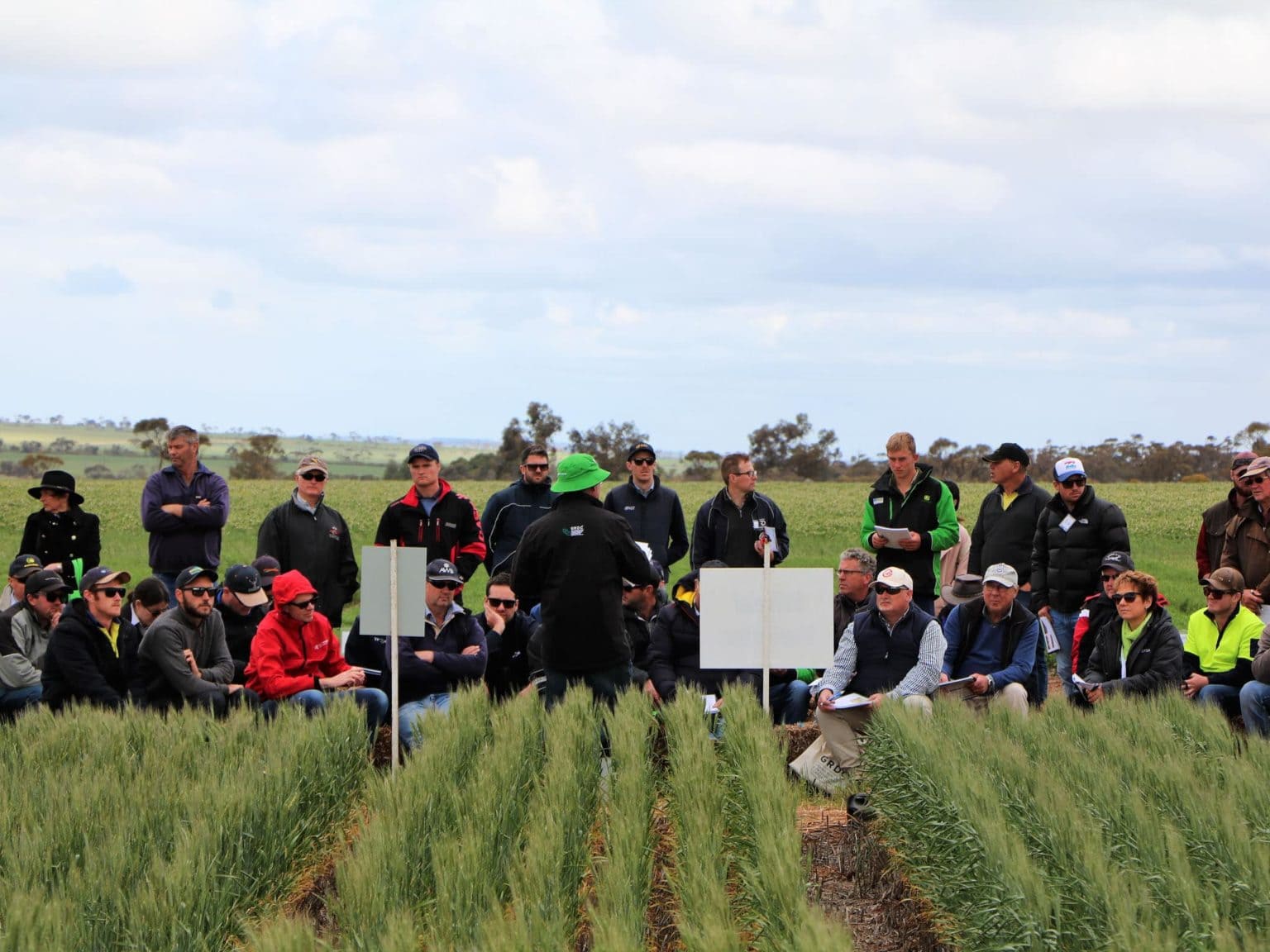 Digging into the 'Hart' of decision making: balancing risk and reward ...