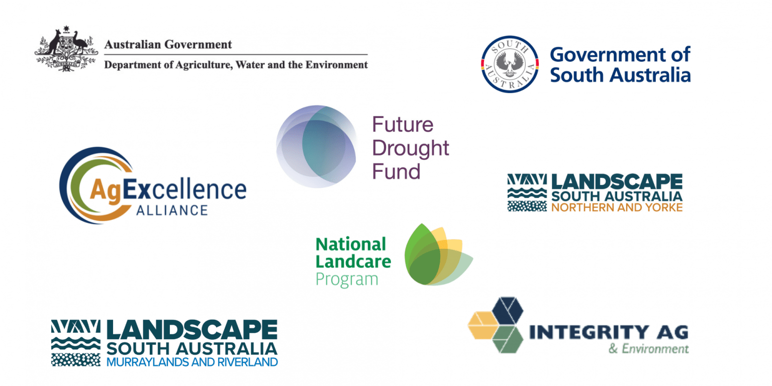 Carbon Footprint & Feasibility Extension Project – AG Excellence