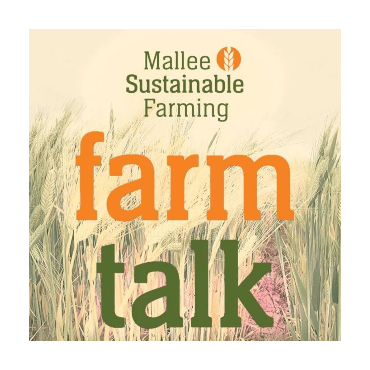 Feed nutrition of low rainfall crops and pastures - podcast out now ...