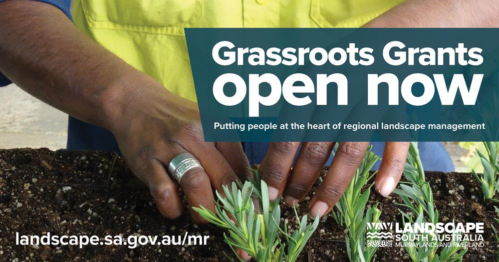 Murraylands and Riverland Landscape Board Grassroot grant round is now ...