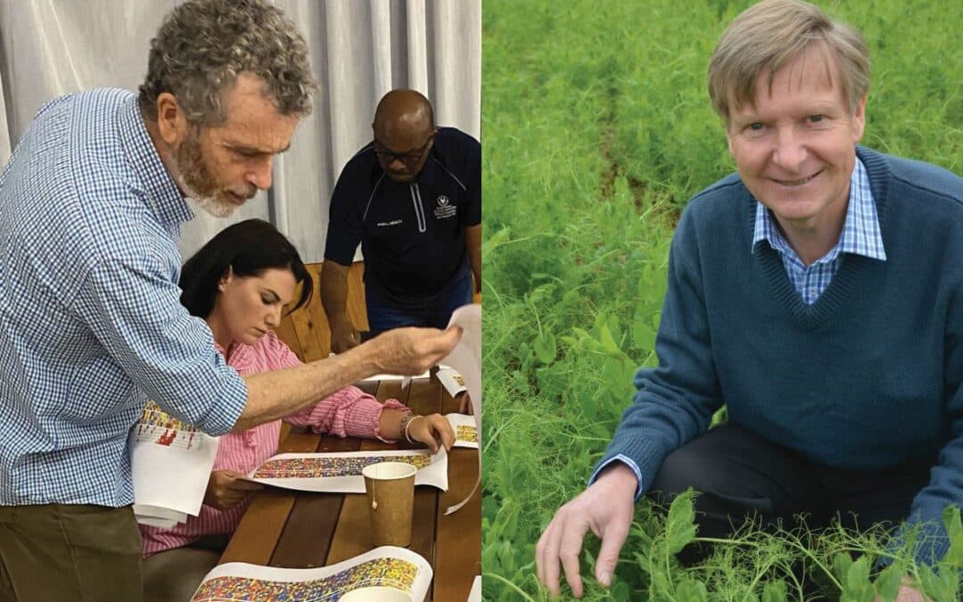 El niño is (probably) coming - what does it mean and what can you do ...