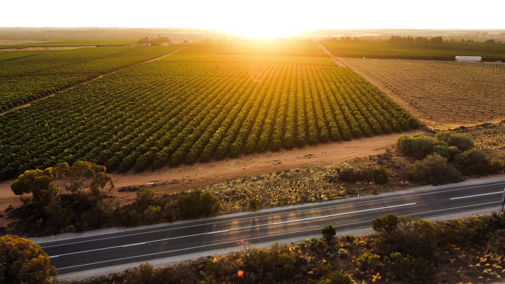 Low Emissions Intensity Farming Systems (LEIFS) project